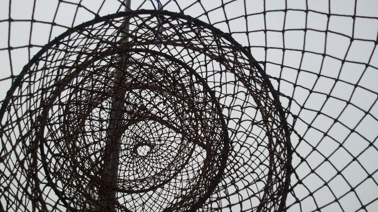 Network Revolutions | Invention & Technology Magazine